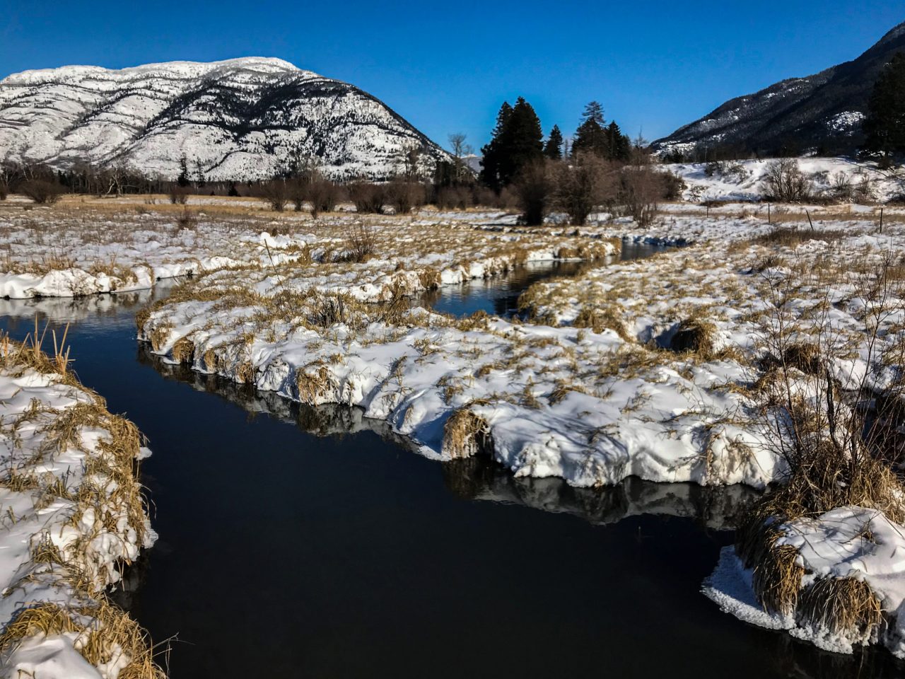Bad Rock Canyon – Flathead Land Trust