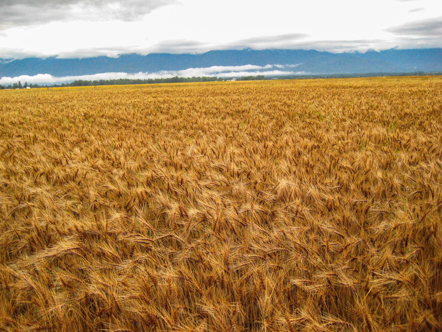 Louden Easements - Flathead Land Trust