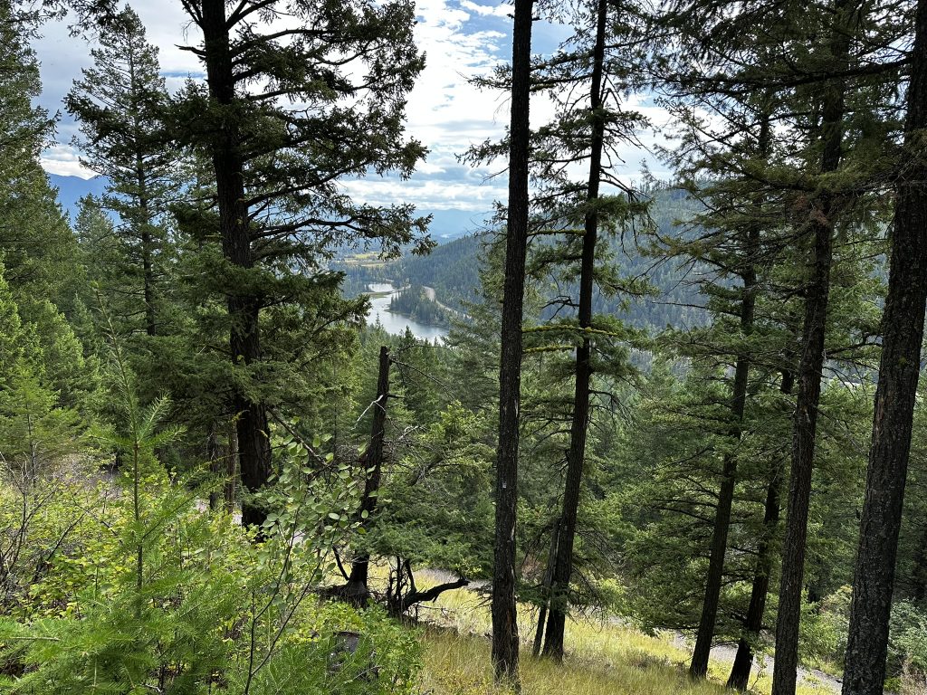 New Conservation Easement near Bigfork Adds to Growing Conservation ...